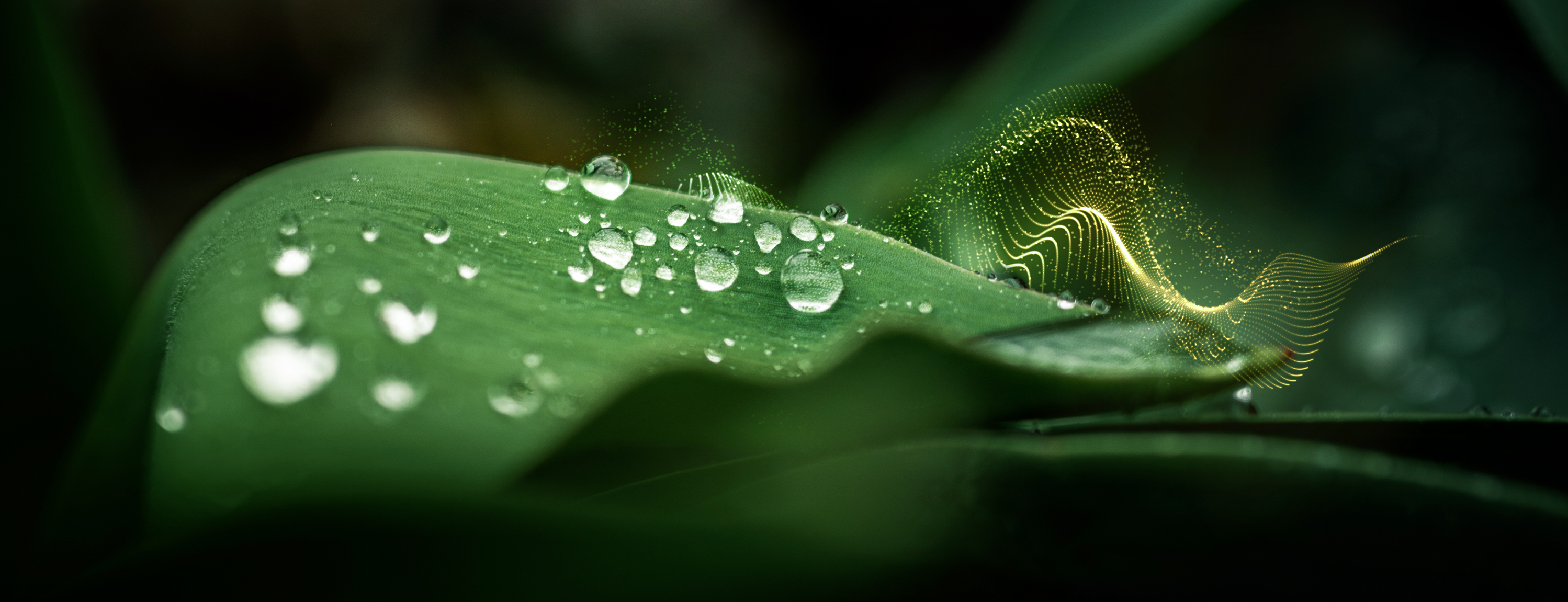 Commercial Solution – TAB